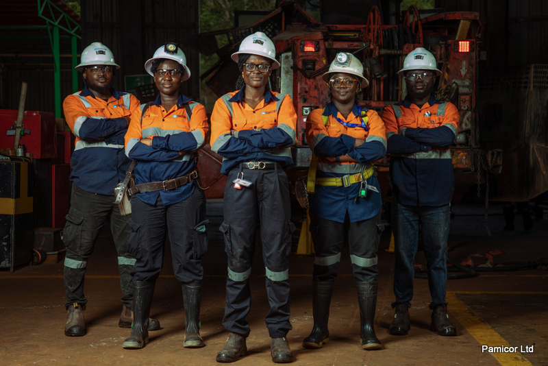 About Us – PAMICOR